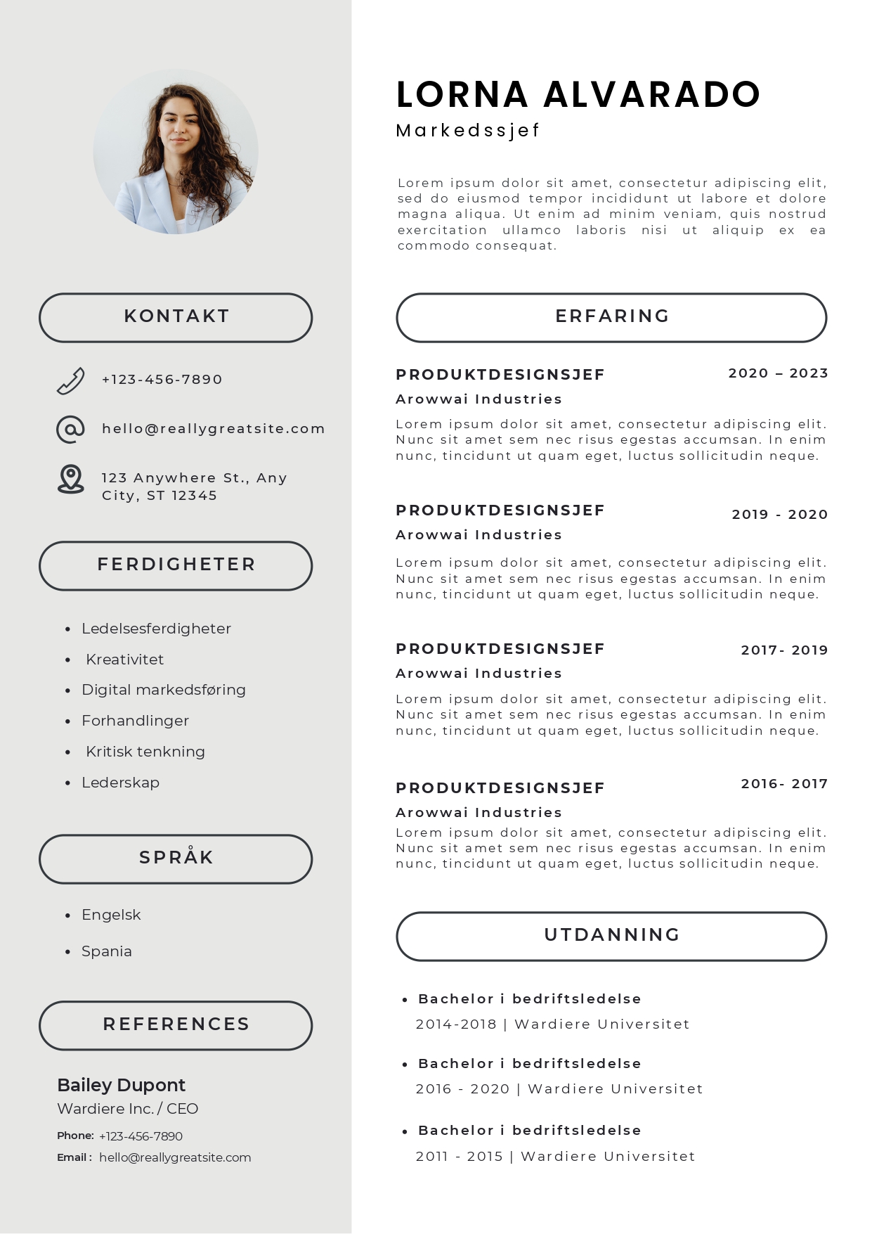 Enkel Profesjonell CV Mal - Ny - Alle Mal Eksempel